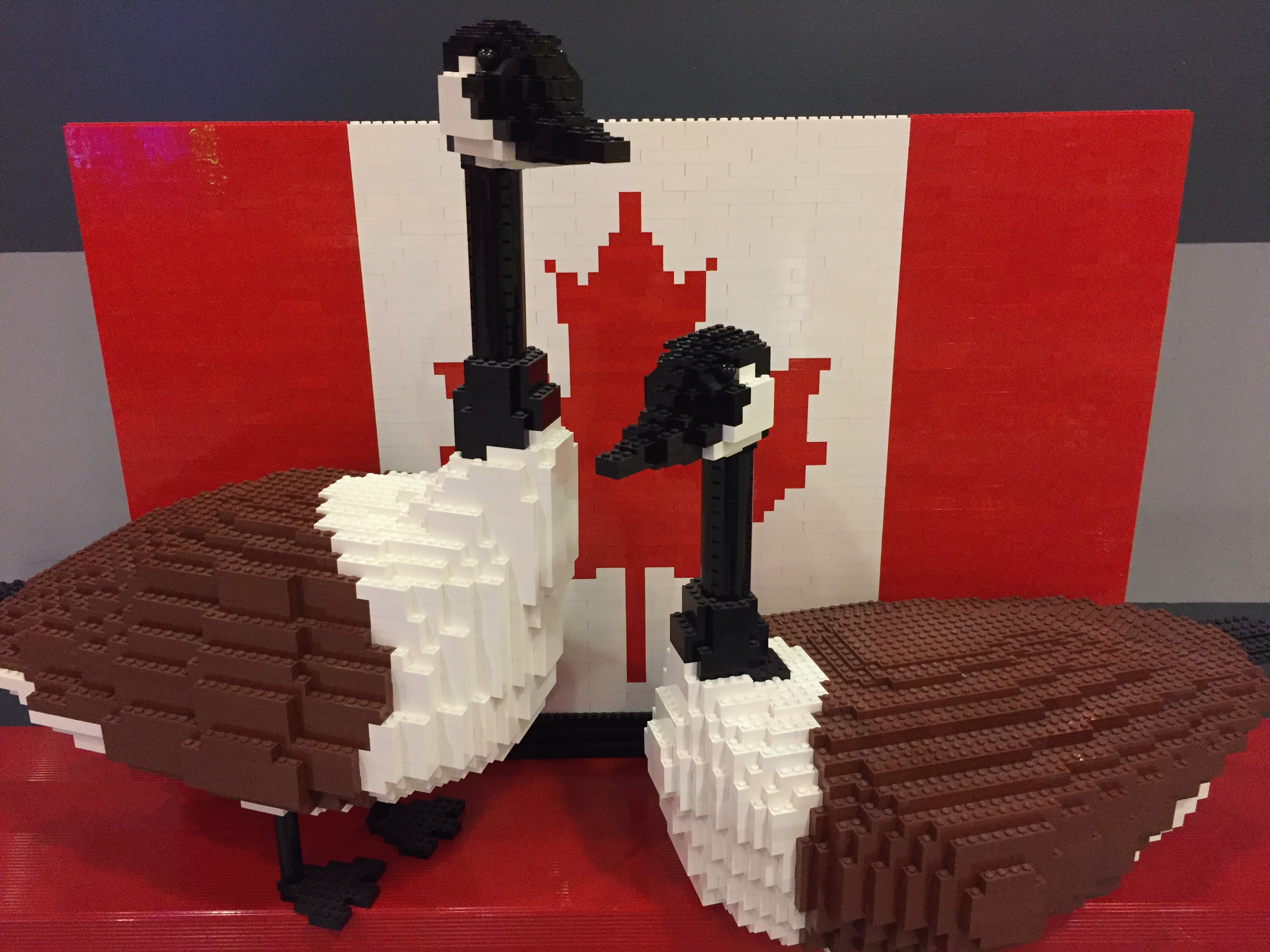 The Canada Goose – Canada Builds 150